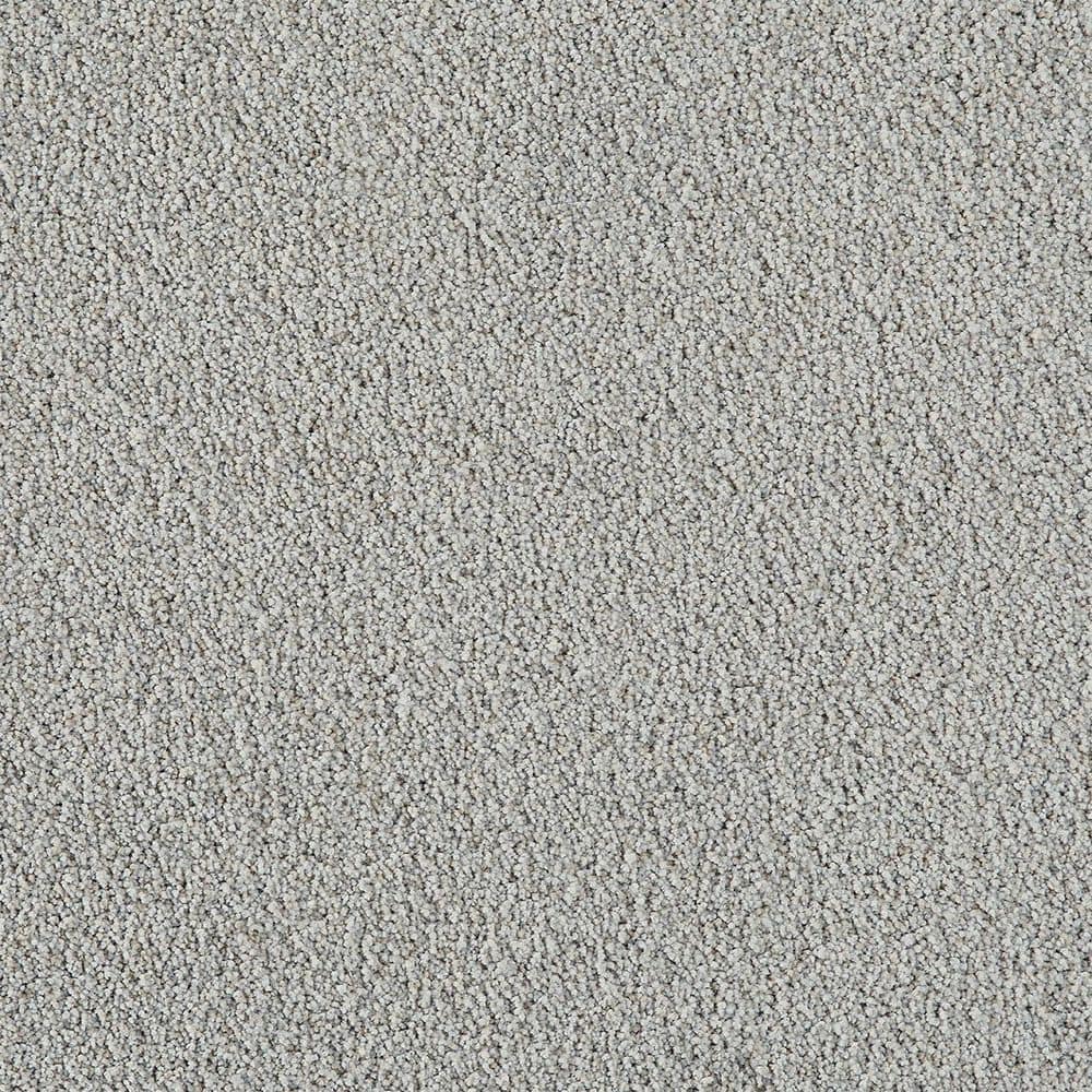 Lifeproof Velvetine I-Star Beige-45 oz. SD Polyester Texture Carpet ...