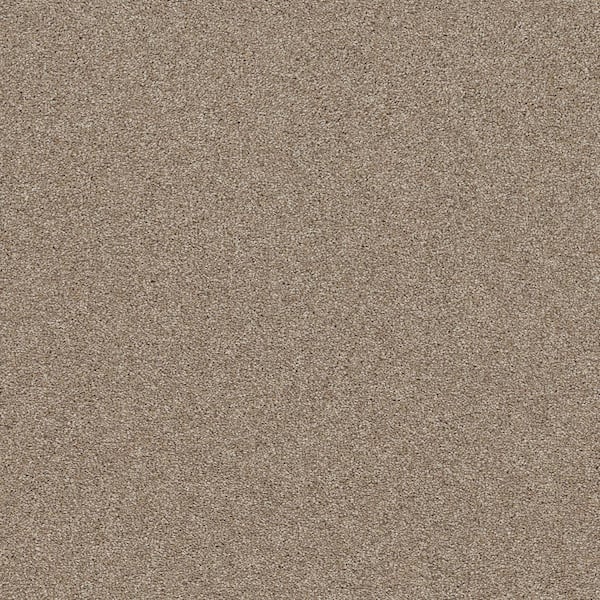 Home Decorators Collection 8 in. x 8 in. Texture Carpet Sample ...