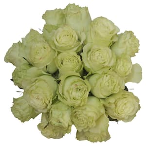 Globalrose 50 Stems of Peach with Pink Tips High and Sunshine Roses ...