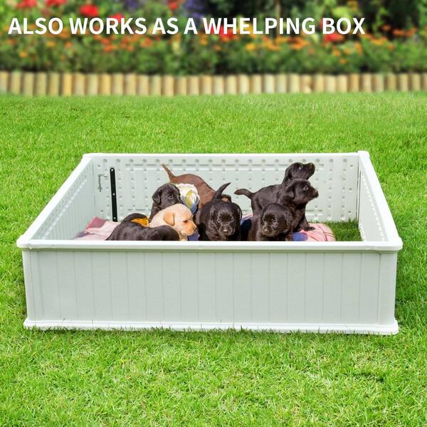 Plastic Dog Boxes