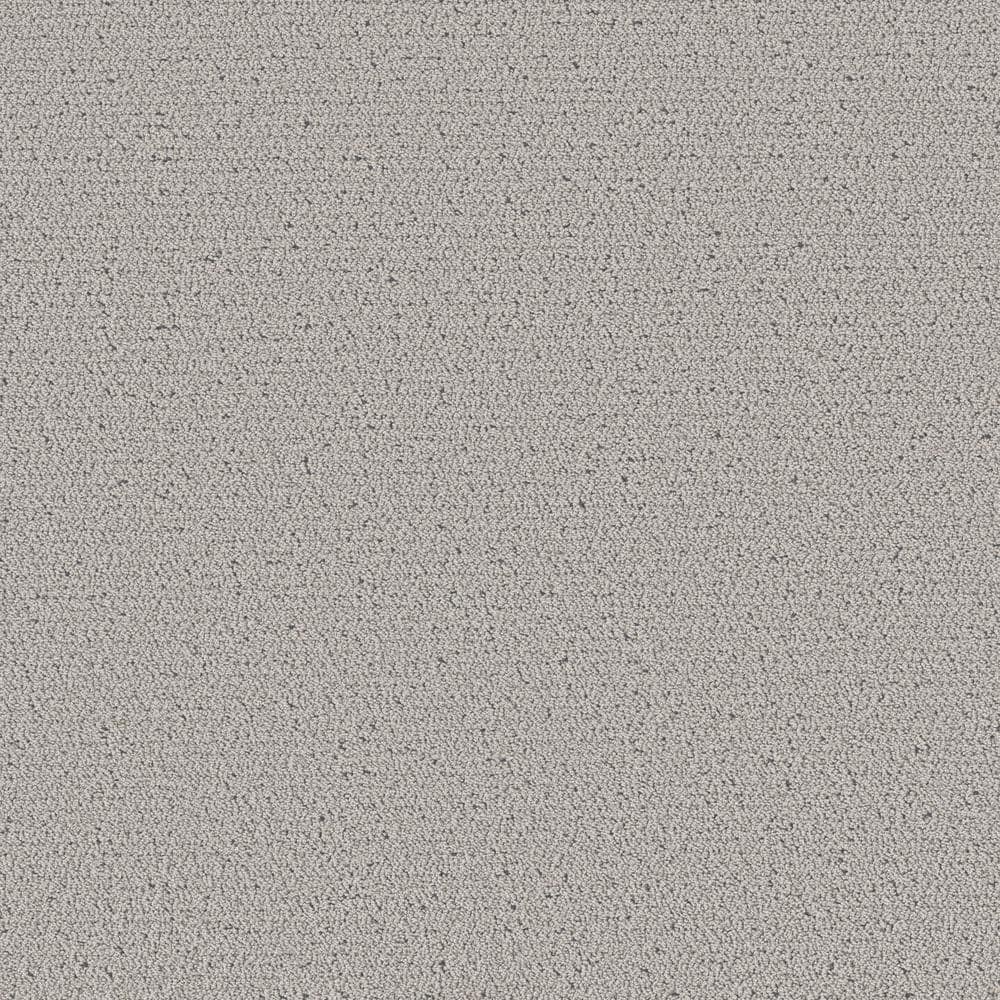 Lifeproof 8 in. x 8 in. Pattern Carpet Sample - Night Owl -Color Quartz ...