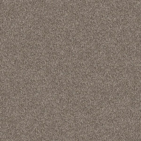 Home Decorators Collection 8 in. x 8 in. Texture Carpet Sample - River ...