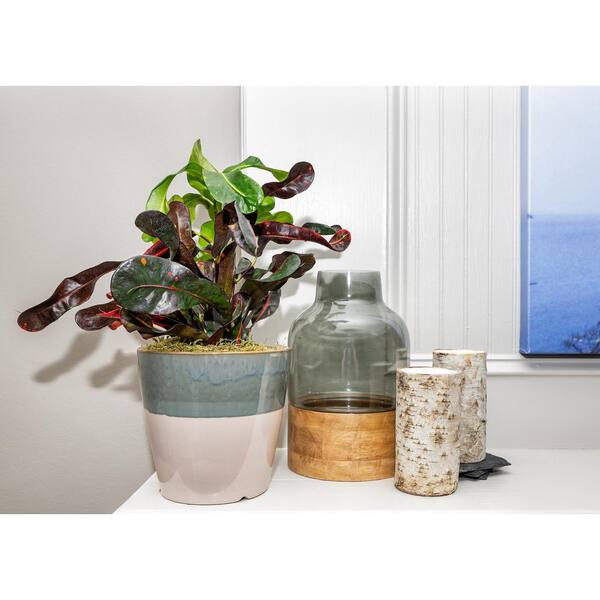 Pumice Garden | Fasci Garden