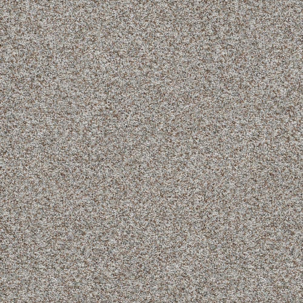 Lifeproof Modern Mosaic III-Bennett Beige-65 oz. SD Polyester Texture Installed Carpet H5277 ...