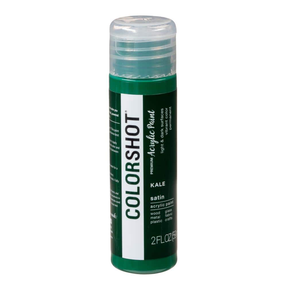 COLORSHOT 2 oz. Kale Dark Green Craft Paint 43800 - The Home Depot