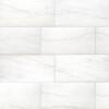 MSI Take Home Tile Sample - Alexandra 4 in. x 4 in. Matte Porcelain ...