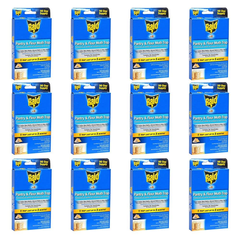 Raid Closet Moth Trap with Lure, Sticky Glue Trap (24-Traps) CMOTH-RAID ...