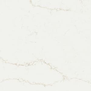 STONEMARK 4 in. x 4 in. Quartz Countertop Sample in Calacatta Adonia P ...