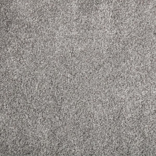 Home Decorators Collection 8 in. x 8 in. Texture Carpet Sample - Gemini ...