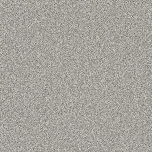 Lifeproof 8 in. x 8 in. Texture Carpet Sample - Misty Meadows III ...