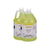 MMR Professional 1-gal. Instant Mold and Mildew Stain Remover (2-Pack ...