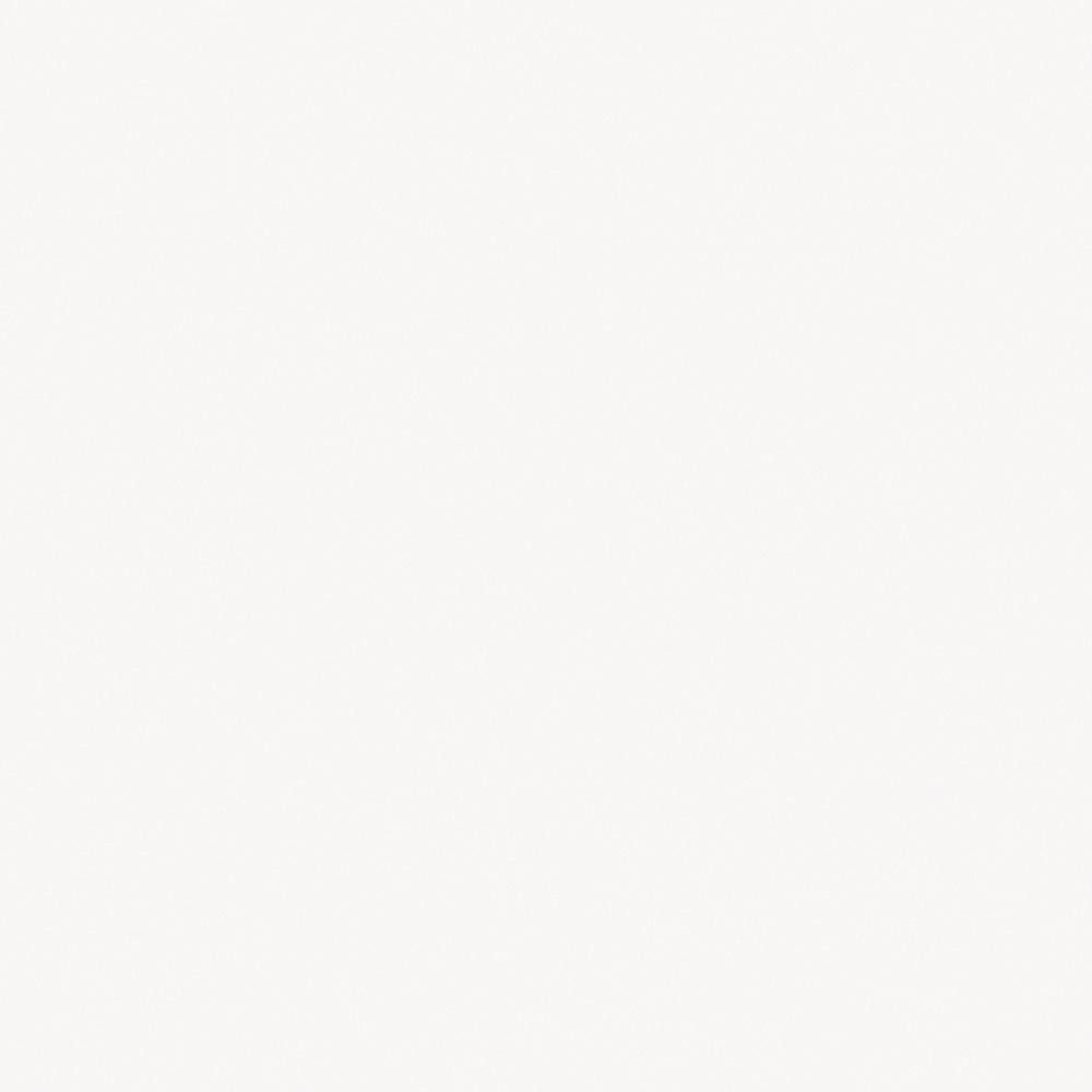 FORMICA 3 in. x 5 in. Laminate Sheet Samples in Brite White ...