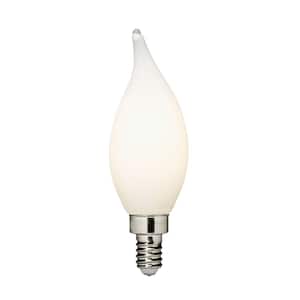 Feit Electric 40-Watt Equivalent T10L Dimmable Straight Filament E26 ...