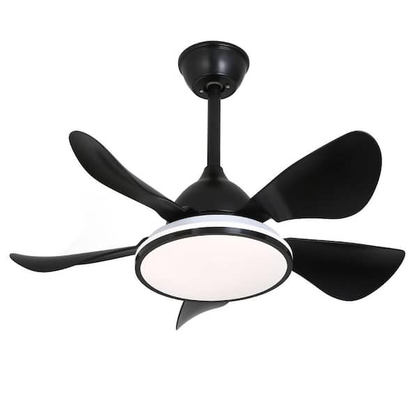 OUKANING 36 in. Indoor Black Modern Standard Reversible 6-Speed Ceiling ...
