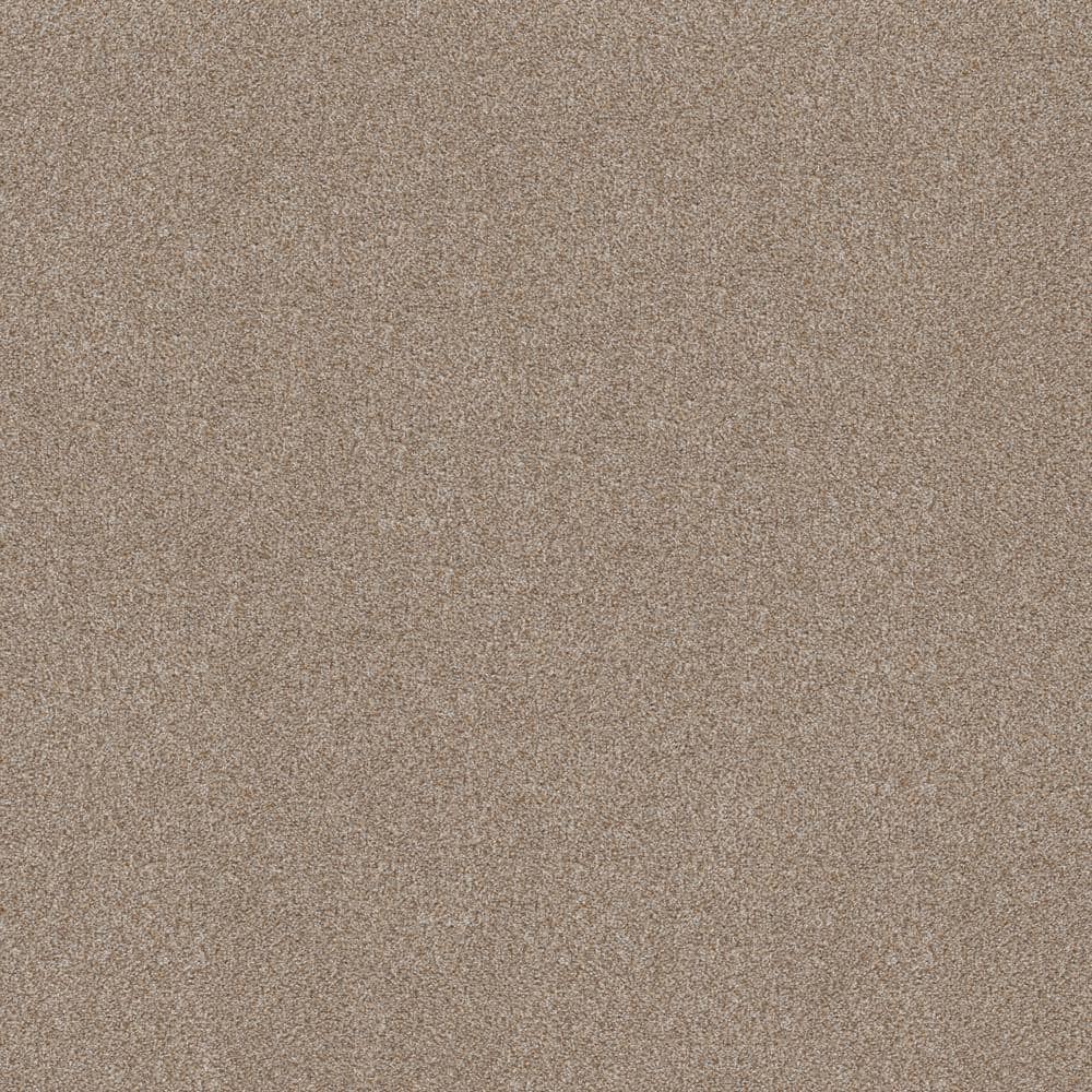 Home Decorators Collection 8 in x 8 in. Texture Carpet Sample ...