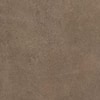 Level 10 Salon Bronze Matte 18 in x 36 in Porcelain Floor Tile (12.97 ...