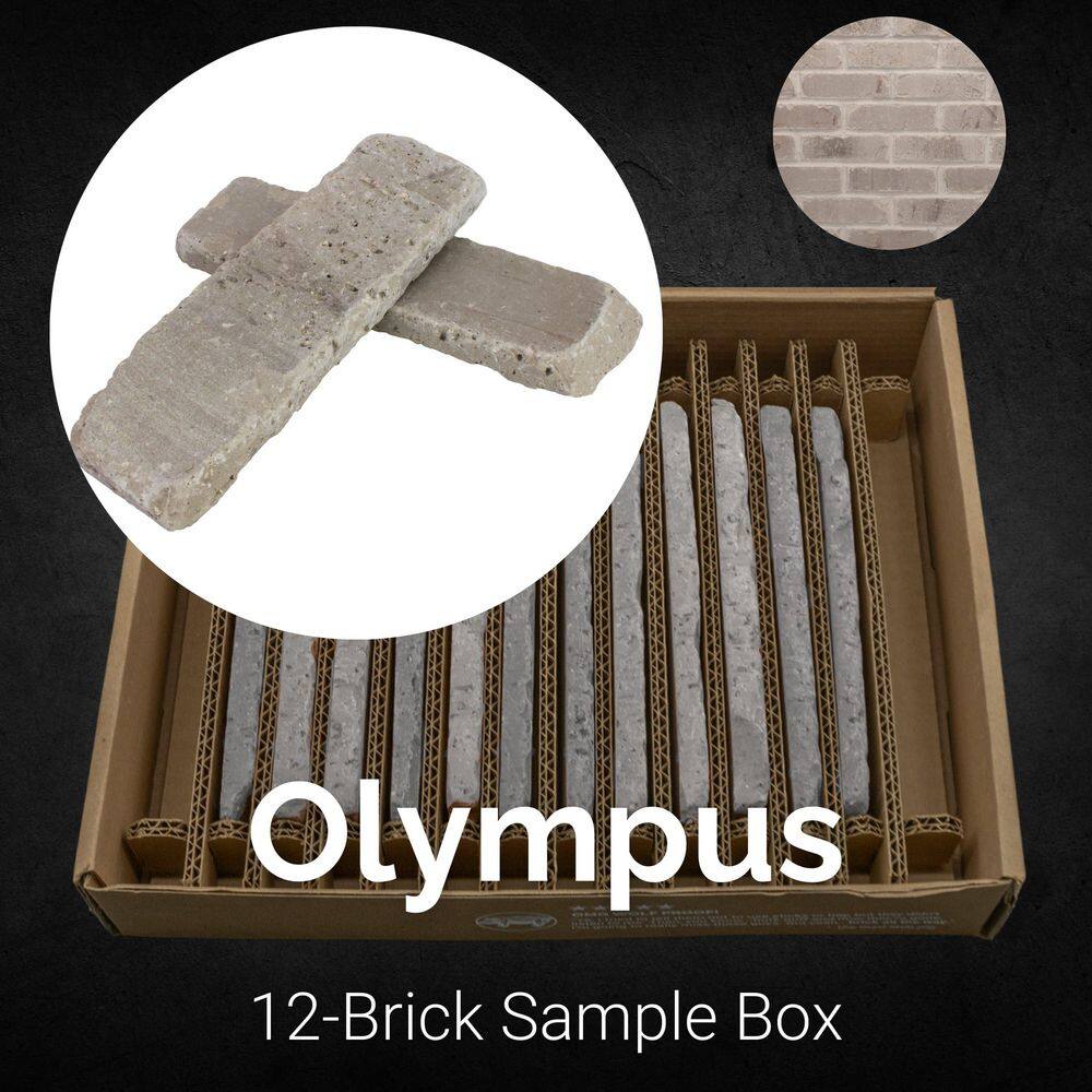 Old Mill Brick Sample Box Olympus Thin Brick 7.625 in. x 2.25 in. x 0.5 ...