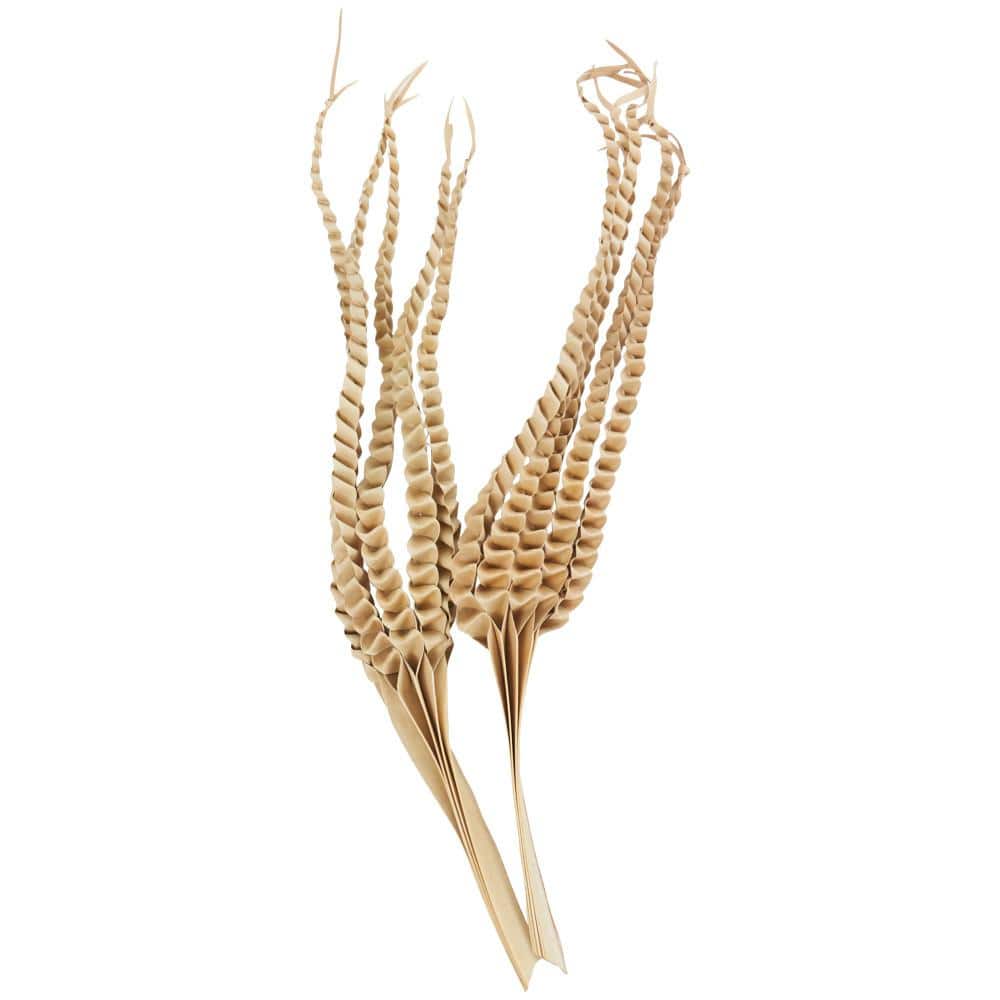 Reviews for Litton Lane 32 in. Tall Five Finger Palm Leaf Natural ...