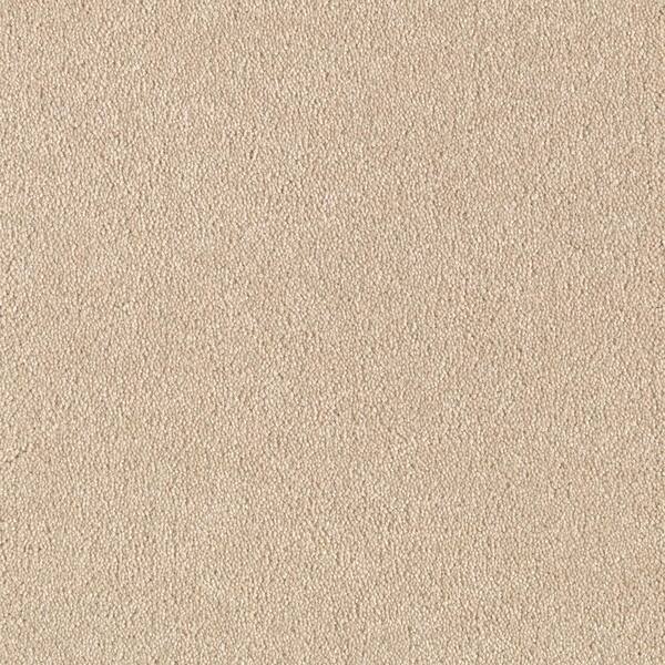 TrafficMaster Turbo II - Color Haystack Texture 12 ft. Carpet 0359D-22 ...