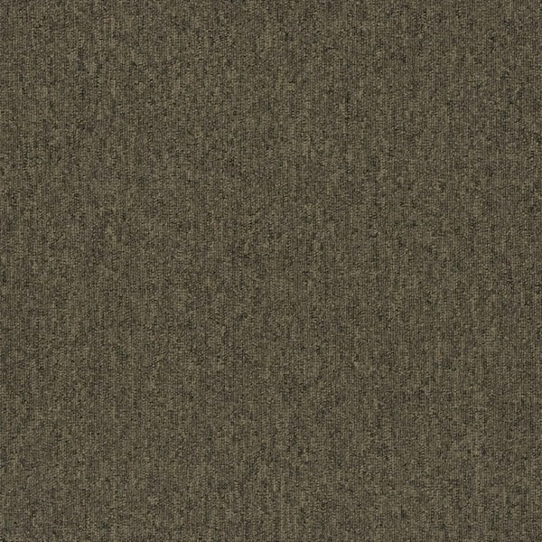 TrafficMaster 8 in. x 8 in. Loop Carpet Sample - Form Focus 20 - Color ...