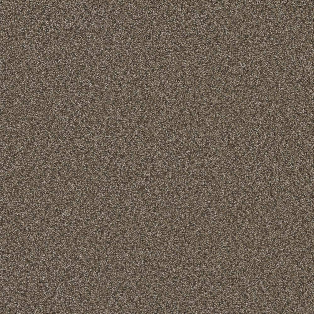 Engineered Floors 8 in. x 8 in. Texture Carpet Sample - Sandcastle ...