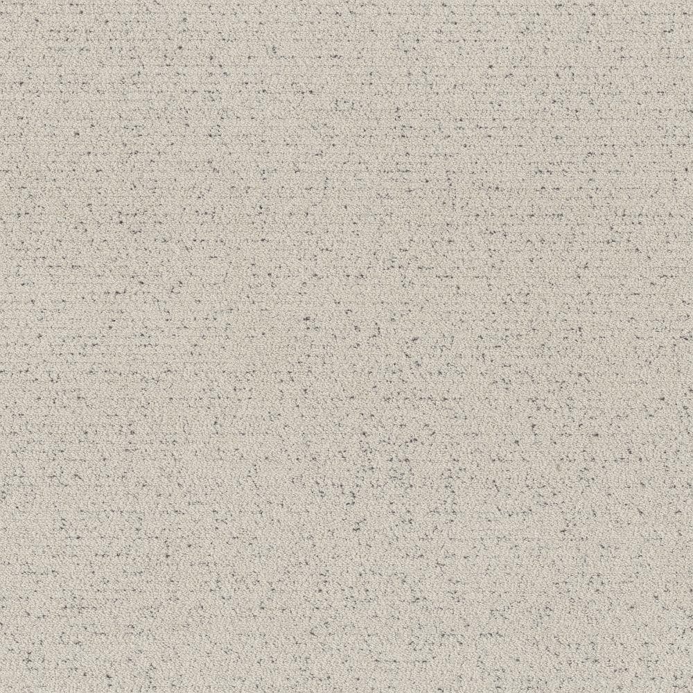 Lifeproof 8 in. x 8 in. Pattern Carpet Sample - Night Owl -Color Shells ...