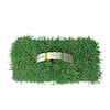 Sod Pods Zoysia Grass Plugs (64-Count) Natural, Affordable Lawn ...