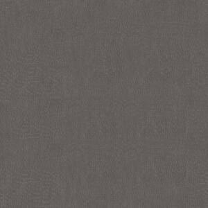 Wilsonart 3 ft. x 10 ft. Laminate Sheet in Grey Glace with Matte Finish ...