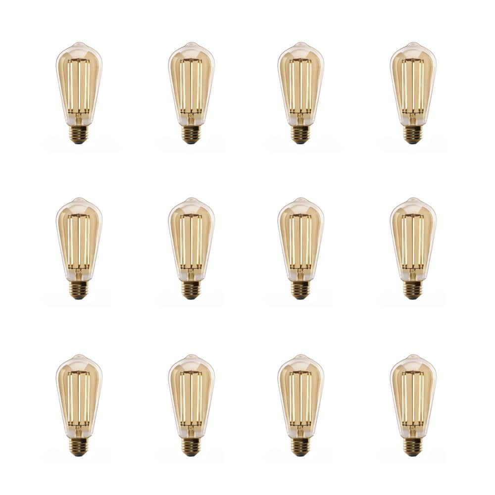Feit Electric 100-Watt Equivalent ST19 Dimmable Straight Filament Amber ...
