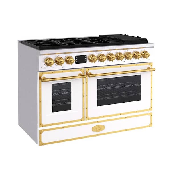 Akicon 48 in. Freestanding Gas Range with 8 Burners, Double Convection ...