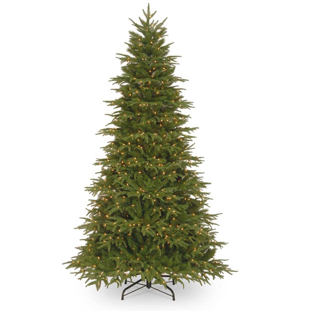 National Tree Company 9 ft. Northern Frasier Fir Tree with Clear Lights ...