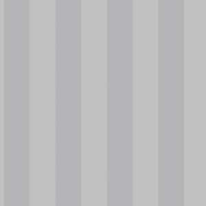 Silver Smart Stripes 3 Surface Stripe Matte Finish Non-Pasted Vinyl on ...