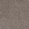 Home Decorators Collection 8 in. x 8 in. Texture Carpet Sample ...