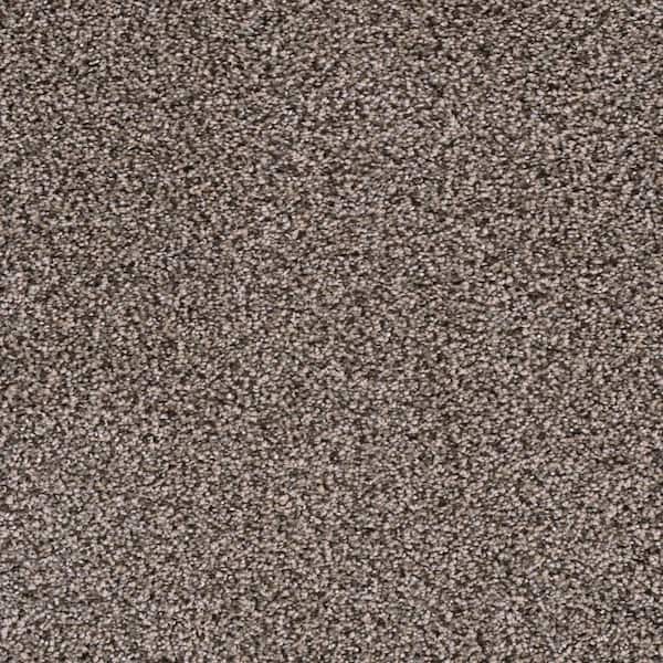Home Decorators Collection 8 in. x 8 in. Texture Carpet Sample ...