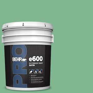 BEHR PRO 1 gal. #BIC-40 Veiled Chameleon Low Luster Exterior Paint ...
