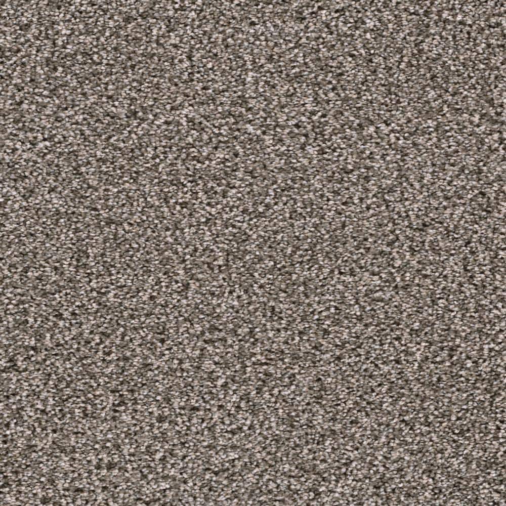 Home Decorators Collection 8 in. x 8 in. Texture Carpet Sample ...