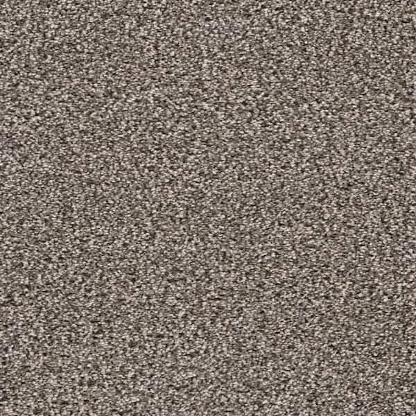 Home Decorators Collection 8 in. x 8 in. Texture Carpet Sample ...
