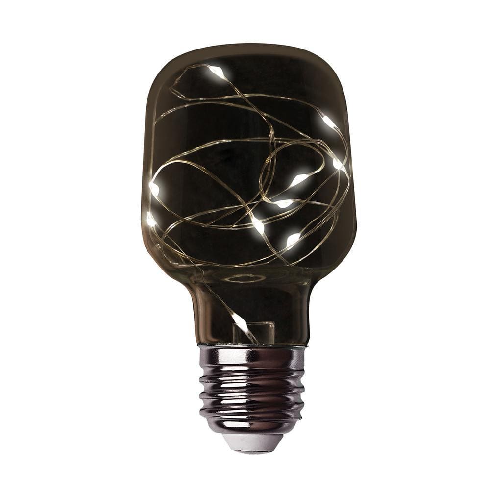 Feit Electric 11-Watt Equivalent T20 Soft White LED Fairy Light Clear ...
