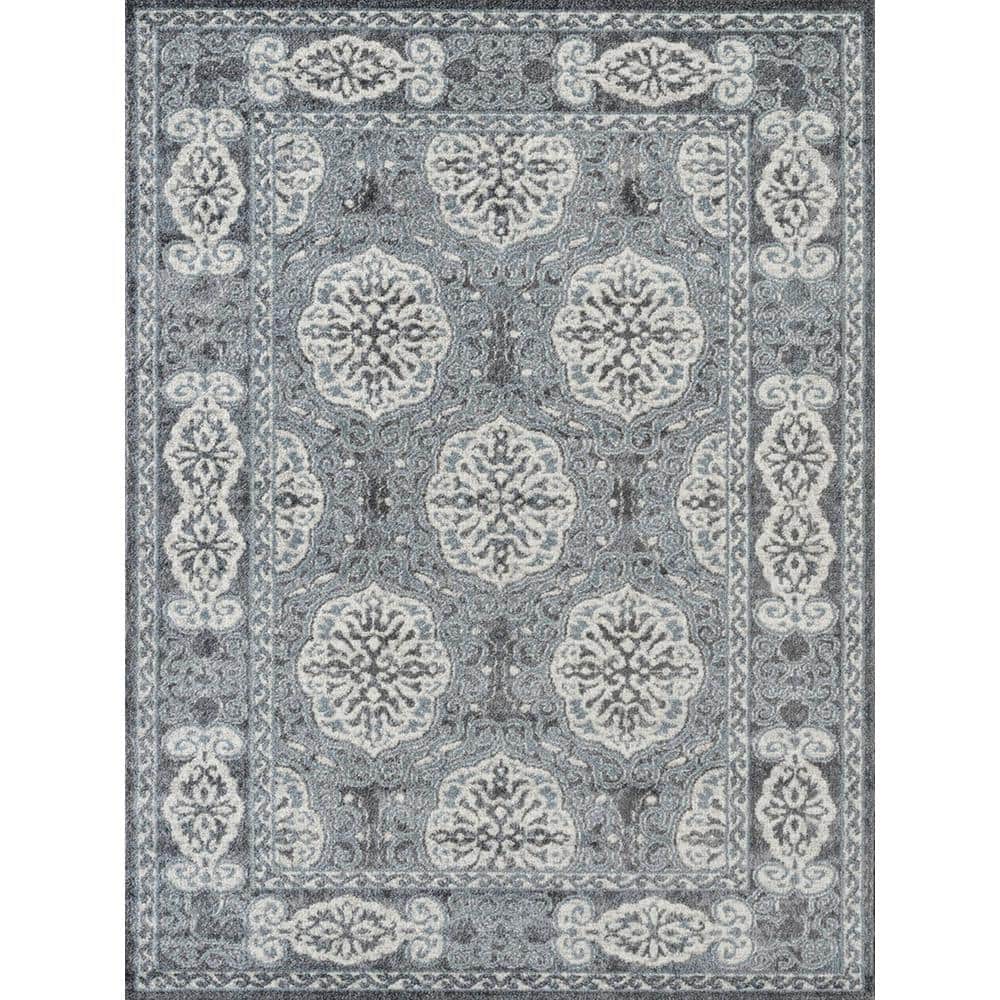 Amer Rugs Alexandria 9 x 12 Steel Blue Bordered Pattern Area Rug for ...