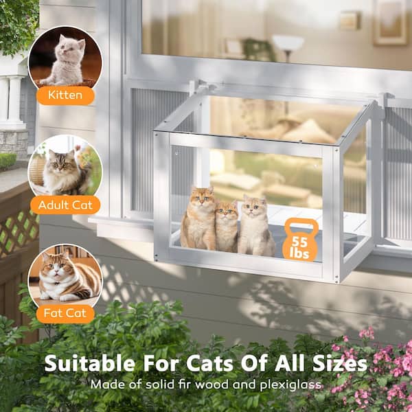 Screened Window Box For Cats