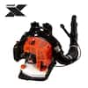 ECHO 240 MPH 835 CFM 79.9cc Gas 2-Stroke X Series Backpack Leaf Blower ...