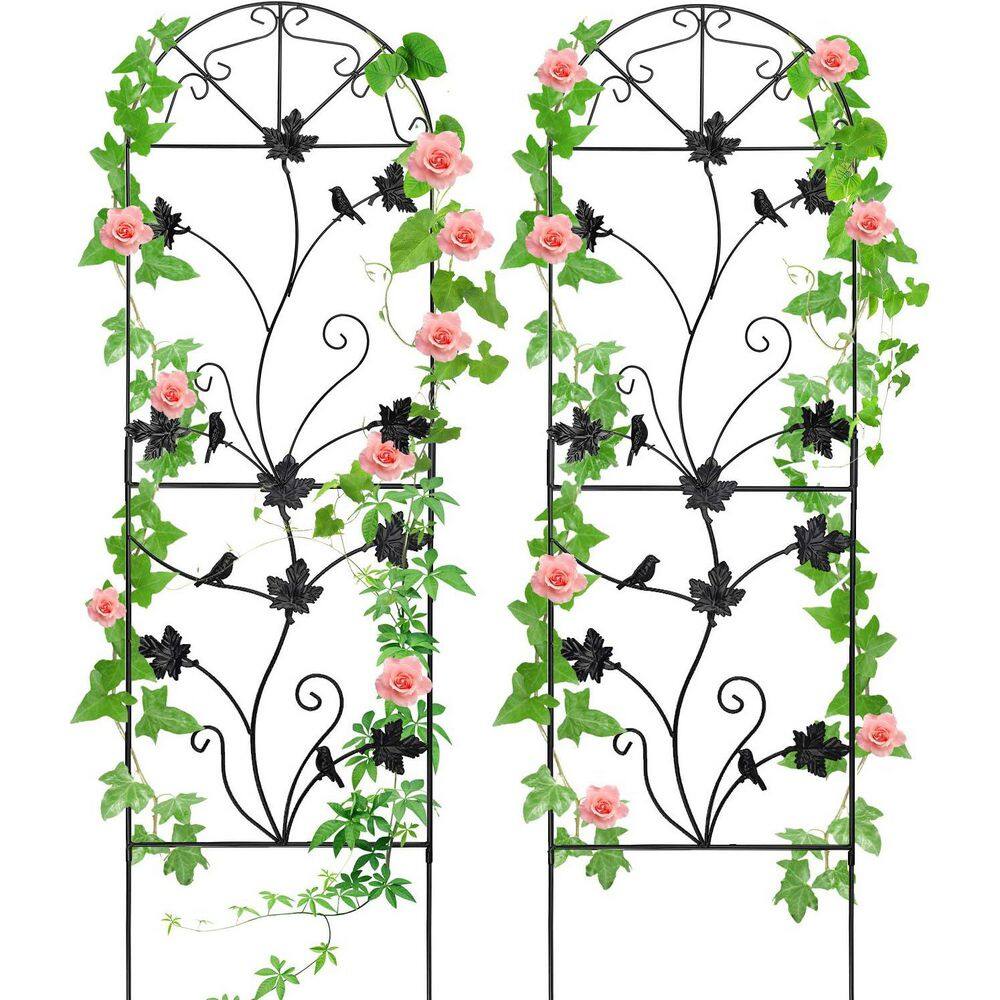 FAWEY TRED INC 64 in.x17 in. Metal Rustproof Sturdy Black Iron Trellis ...