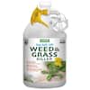 Harris 128 oz. Sea Salt Weed and Grass Killer SEAWEED-128 - The Home Depot